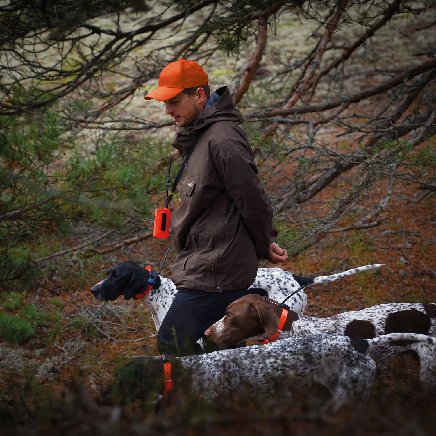 Quiénes somos - Arcea